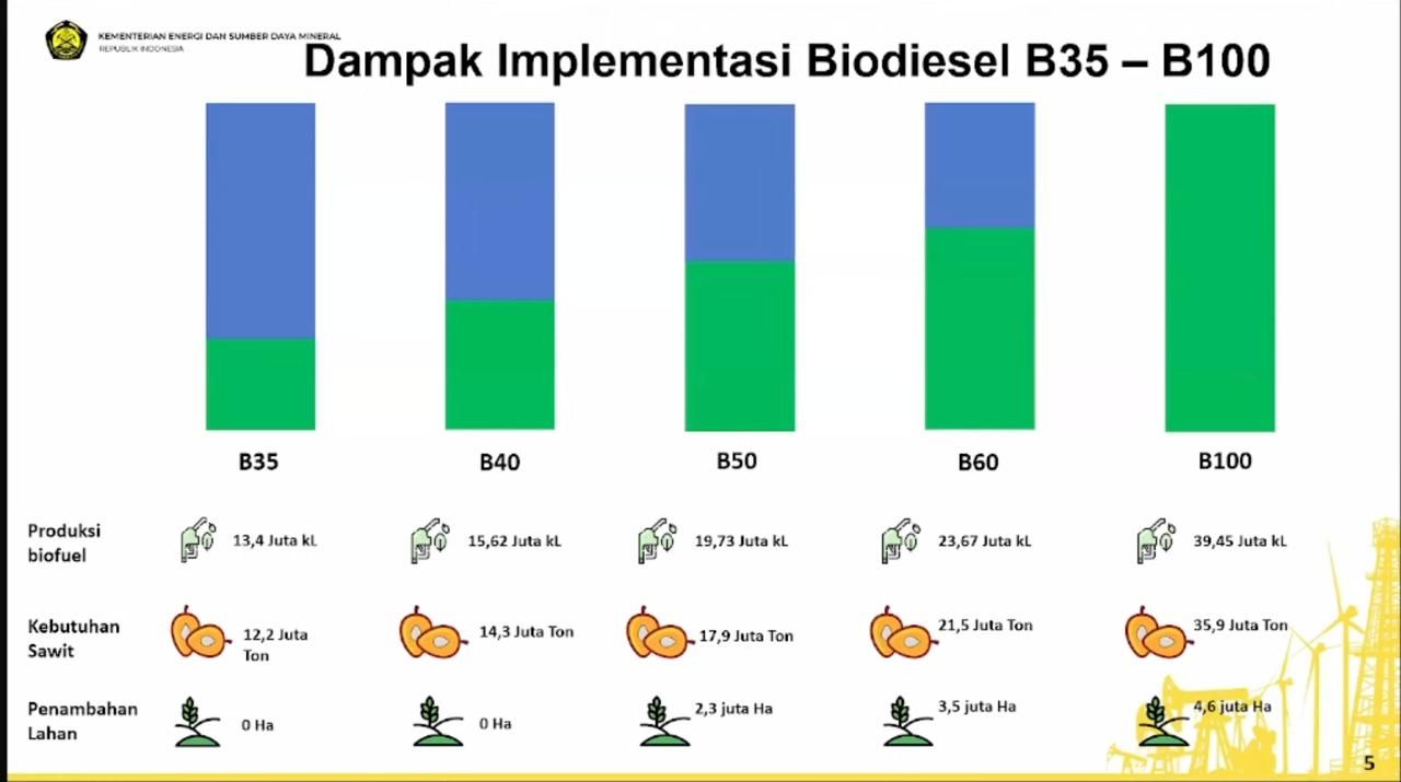Biodiesel Indonesia: Peluang Ekonomi dan Kemandirian Energi dari B40 ke B50